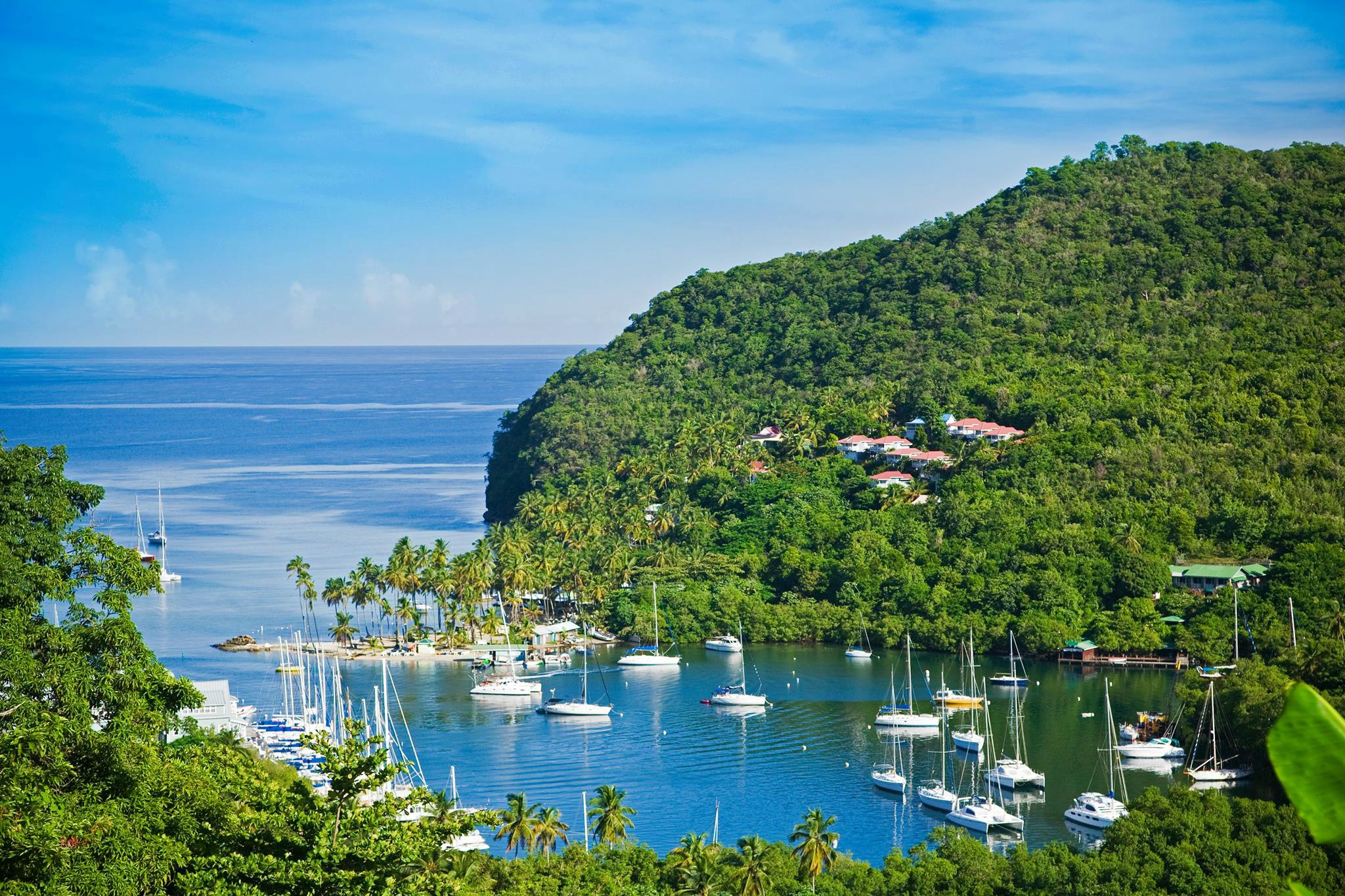 Stories travel at Saint Lucia Tourism Authority